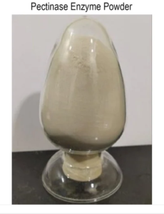 Pectinase Enzyme Powder - Symzymes Pvt ltd